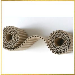 Carton sul tip II| Dinosans.ro⭐